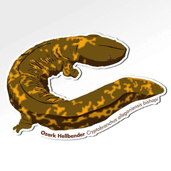 Stickers - Pack Rat Outdoor Center